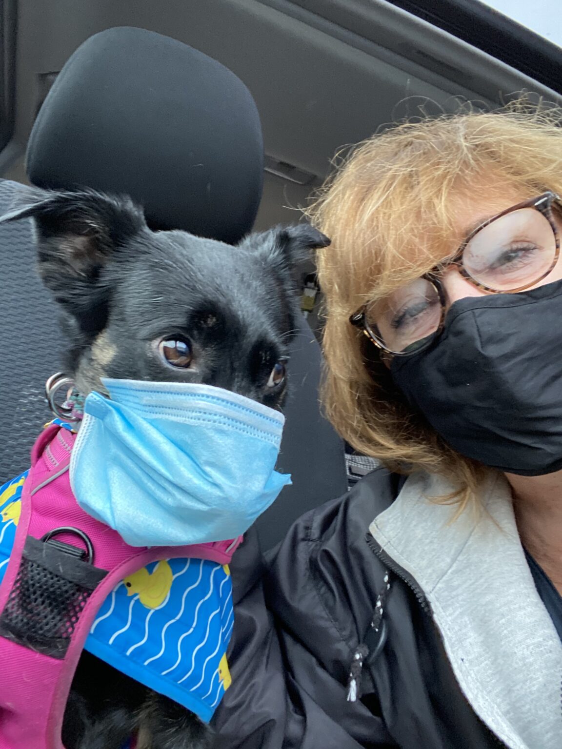 Meet the Models, New England: JoAnne Loretti - Runway for Recovery